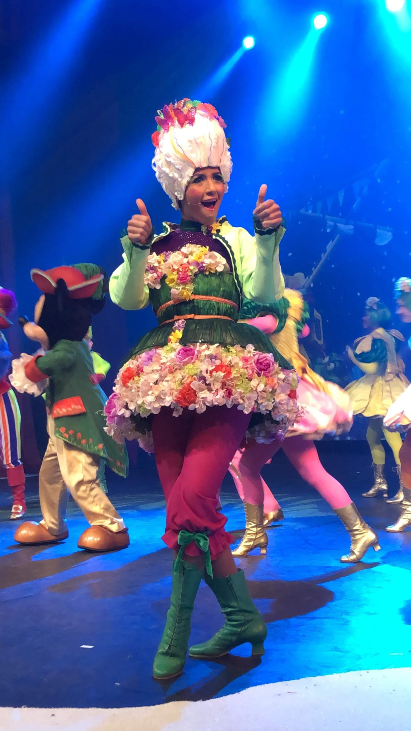 A Beginner’s Guide to the Annual Pass Soiree – Disneyland Park ...