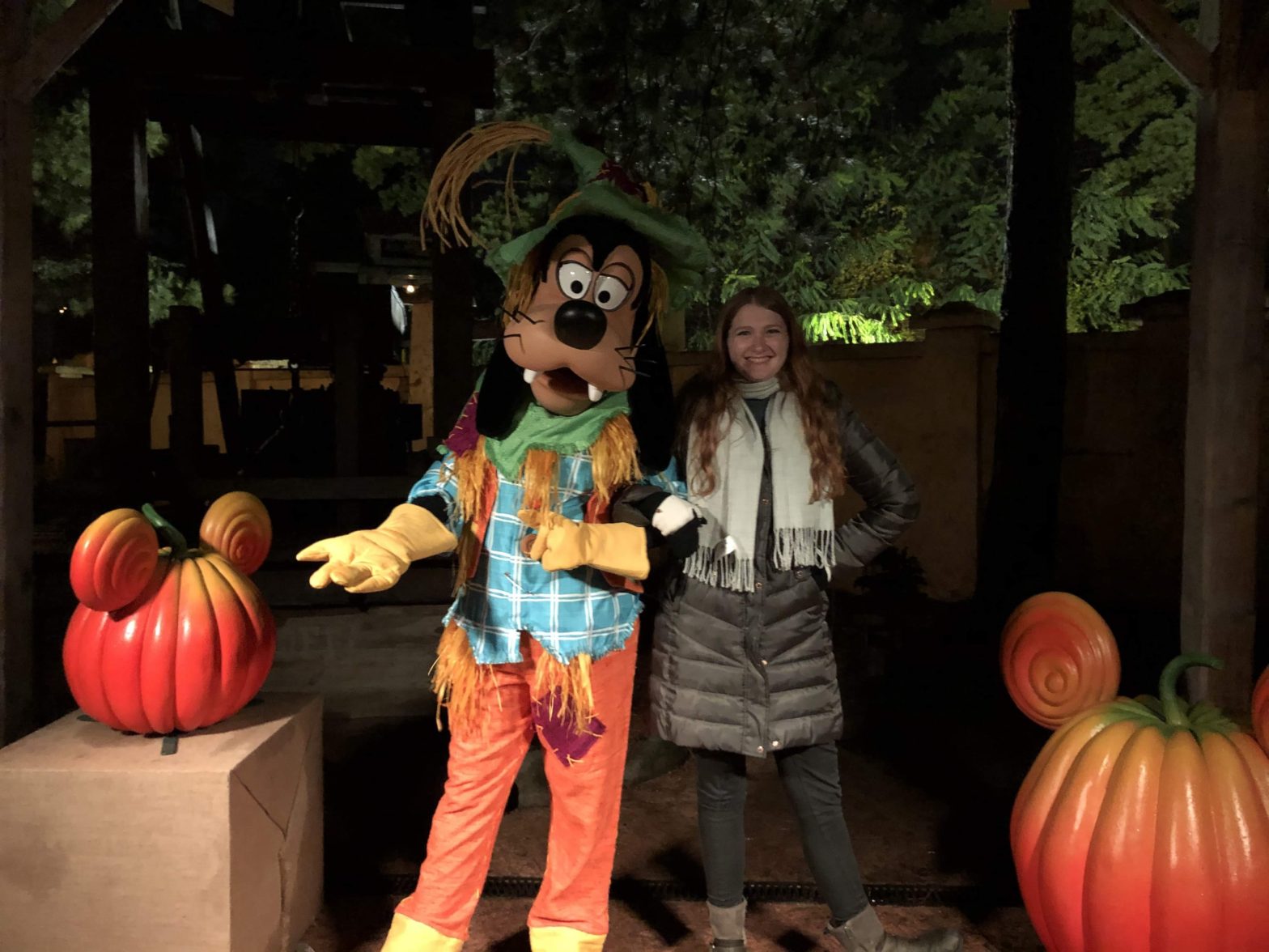 A Beginner’s Guide to the Annual Pass Soiree – Disneyland Park ...